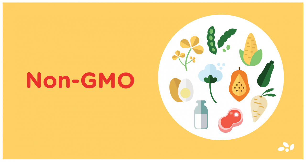 Learn about Non-GMO - Fruselva – The baby food comanufacturer